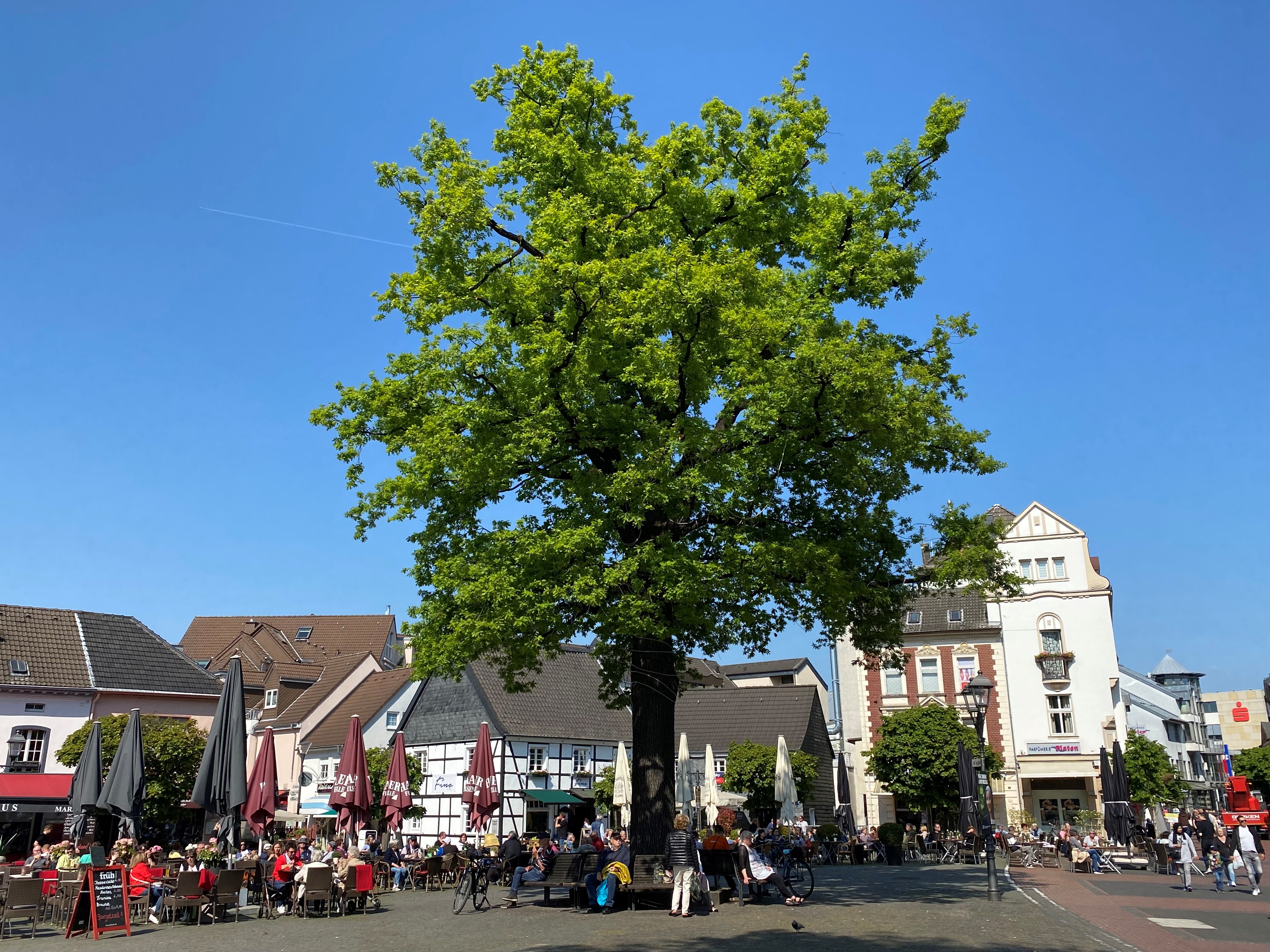 Das Findeportal für Hilden